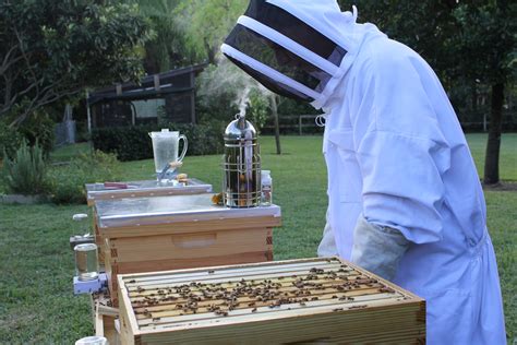 Bee Workshop Gallery Healthiertogo