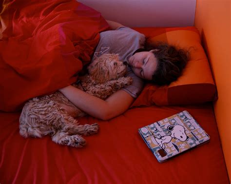 Bonibon Tatlisi 2 By Plateauce On Deviantart