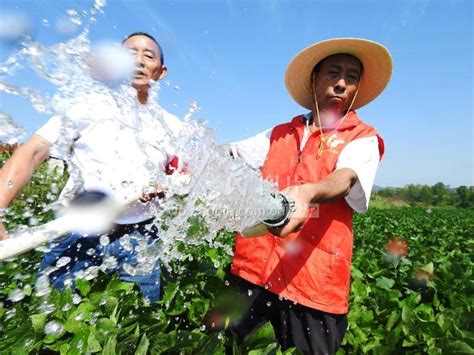 四川达州：担水浇灌保苗 人民图片网