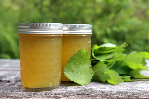 How To Make Herbal Jelly Savory Or Sweet Creative Canning