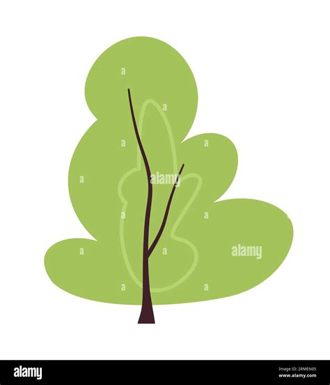 Evergreen Park Tree Semi Flat Colour Vector Object Stock Vector Image And Art Alamy