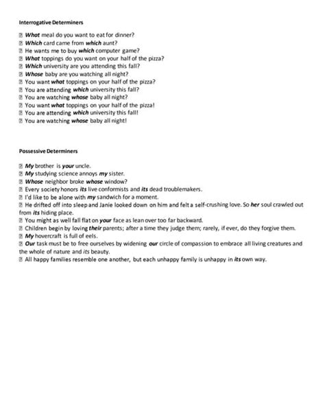 Interrogative Determiners Docx