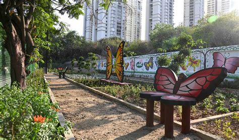 Ghmc Develops Butterfly Park At Kphb Telangana Today