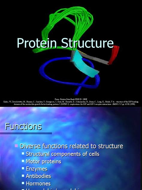 Lecture Presentation Protein Structure Pdf Biomolecular Structure