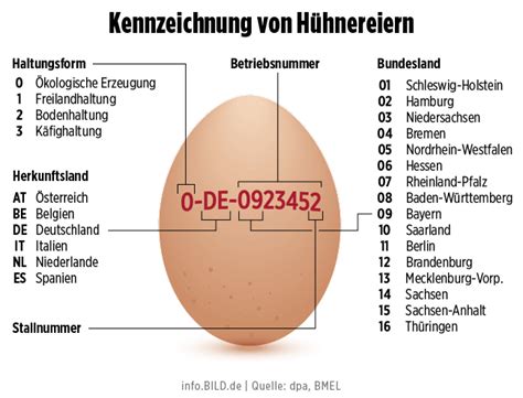 Das Große Ei Mal Ei Ist Dunkler Dotter Besser Als Heller Und War Das Huhn Zuerst Da Leben