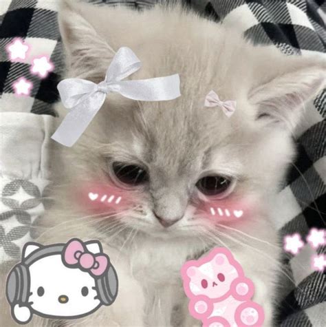 Ícone Ultra Fofo 🩷 Cristal Icons Hello Kitty Cute Cat Pfp Hello