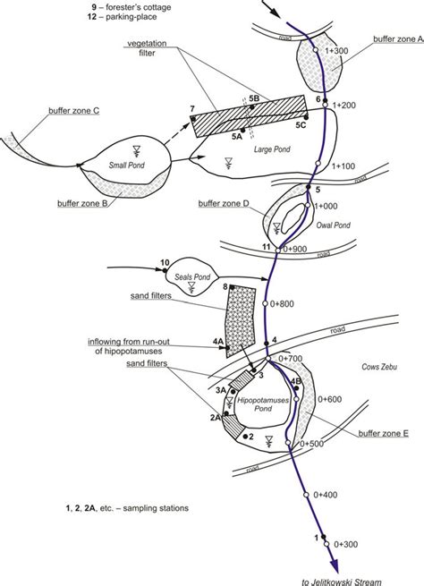 1 Configuration Of The Hydrophyte System And Localization Of Sampling
