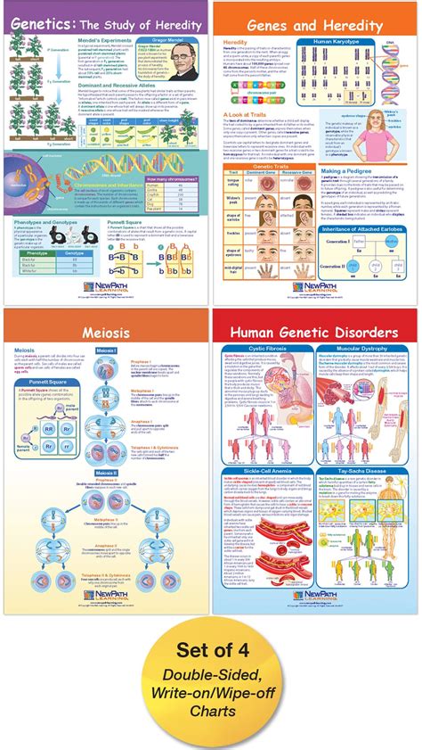 Heredity Diagram Mind Map Of Heredity And Evolution Edurev Private