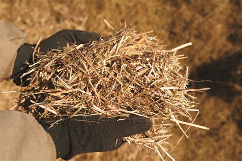 Importance Of Testing Hay Quality Makin Hay The Latest In
