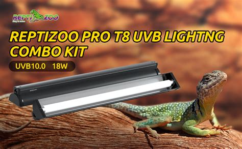 Amazon.com: REPTI ZOO T8 UVB Lighting Fixture for Reptiles,18W Reptile Lighting Combo Kit Desert ...