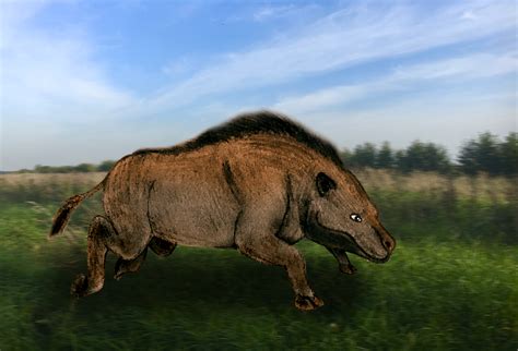 Paraentelodon Intermedium By Vadimzlokazov On Deviantart