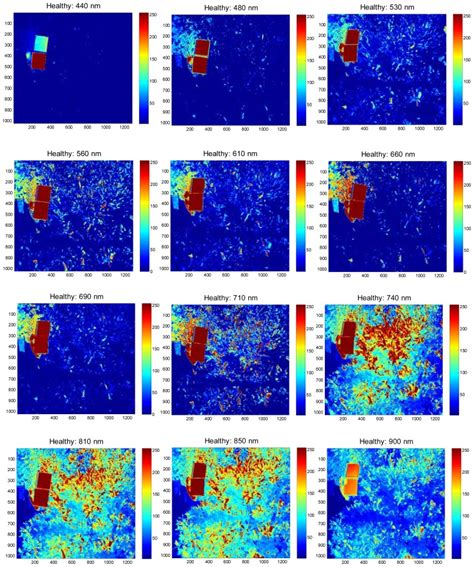 Pseudo Color Images That Represent Visible Near Infrared Spectral Download Scientific Diagram