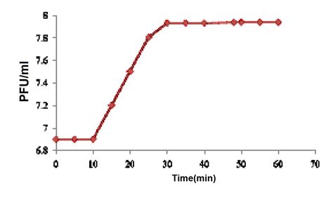 Isolation And Characterization Of Lytic Coliphages From Sewage Water