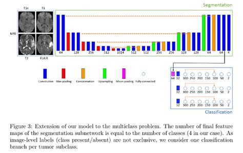 Deep Learning With Mixed Supervision For Brain Tumor Segmentation