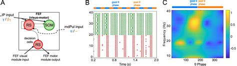 Figures And Data In Interacting Rhythms Enhance Sensitivity Of Target