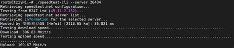 让openwrt 可以测速 ETzzy