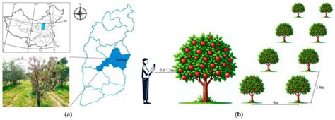 Real Time Accurate Apple Detection Based On Improved Yolov8n In Complex Natural Environments