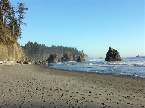 Olympic National Park Washington Washington State Olympic National