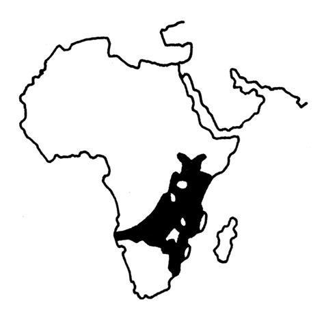 Zebras In Africa Map Zebra