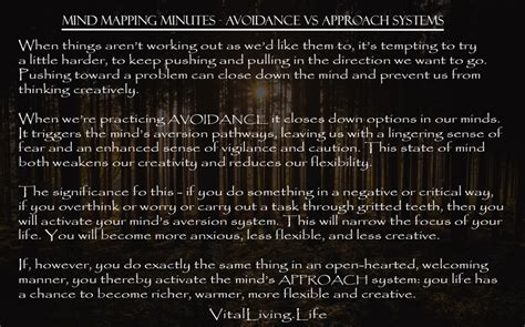 Mind Mapping Minutes Avoidance Vs Approach Systems Vital Living Life