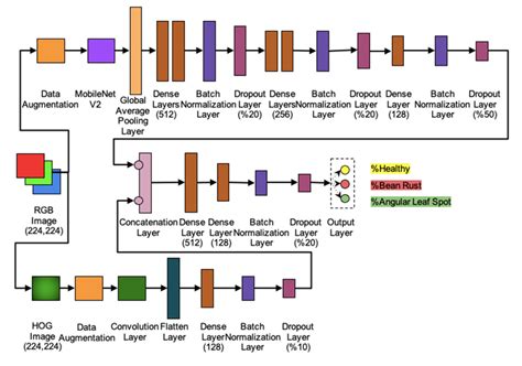 Structure Of Artificial Neural Network With Feature Fusion Download Scientific Diagram