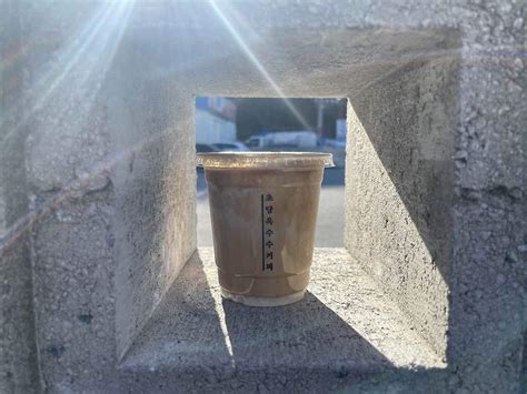 강릉 갤러리밥스 초당옥수수커피 솔로지옥2 종우 카페