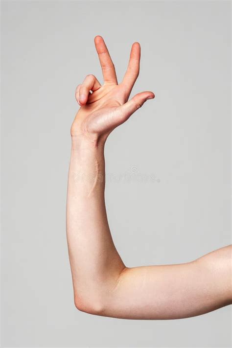 Elevated Bare Human Arm Bent At The Elbow Against A Neutral Background