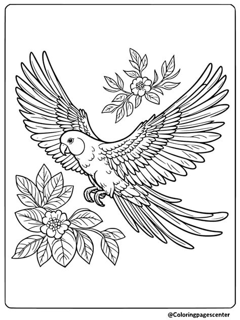 8 Flying Parrot Coloring Pages Free Printable Pdfs