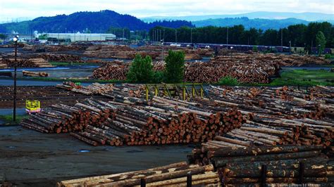 Shareholders Approve Weyerhaeuser Plum Creek Merger Puget Sound
