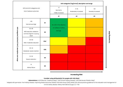 Cystatin C A Biomarker Of Renal Dysfunction Biorex Diagnostics
