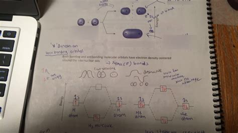 Diagram Of 4 7 Quizlet