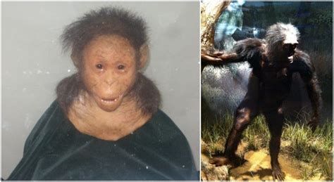 First Human On Earth Lucy