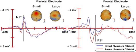 Top Current Source Density Topographies For Correct Linear Trials