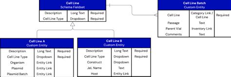 Introducing Fieldsets Community