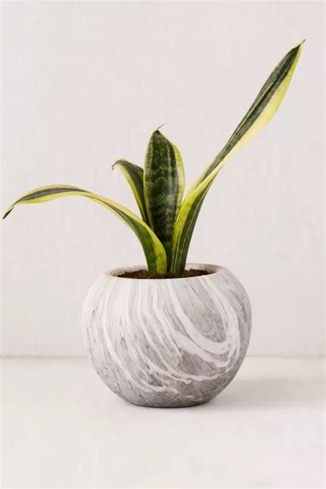 Marble Ball Planter Urban Outfitters Canada