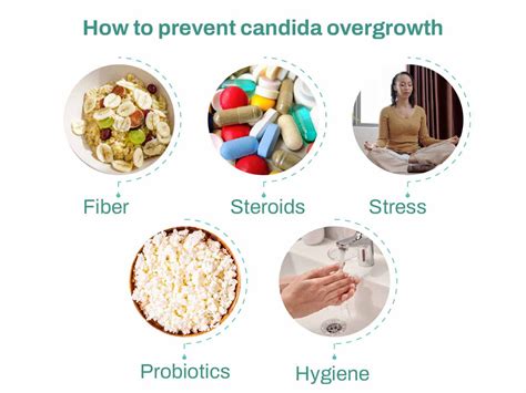 Candida Overgrowth What Is It And What Are Its Symptoms Advanced Food Intolerance Labs