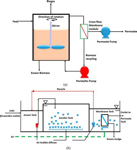 A External Loop Recycle Reactor B Submerged Membrane Reactor 52