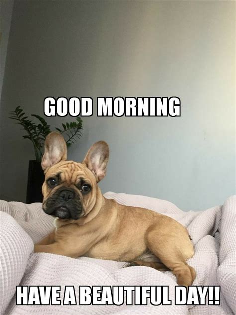 Have A Good Day Beautiful In French Wisdom Good Morning Quotes