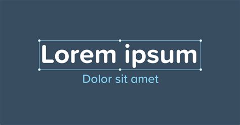 What Is Lorem Ipsum Palco Pet