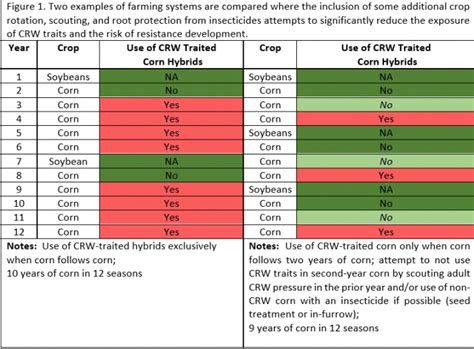 Tackling Corn Rootworm Resistance Dairy Producer