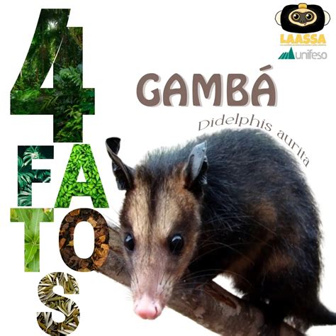 Laassa Laassaunifeso • Instagram Photos And Videos