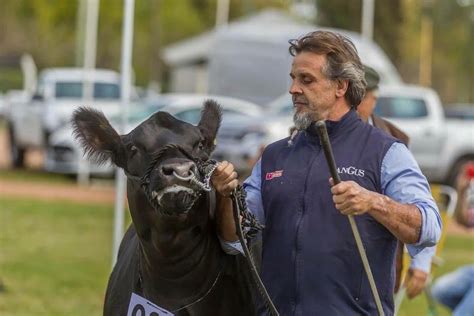 Descendiente De Juan De Garay Compitió En Los Juegos Panamericanos Y Hace El Postre Preferido