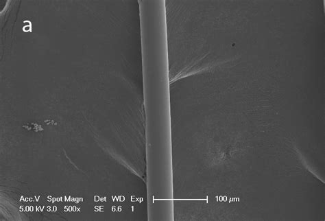 Sem Photographs Of Pva Sio2 Tio2 Hybrid Fiber A And B Of Fiber Download Scientific Diagram