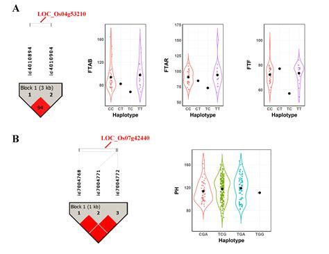 Identification Of Qtns Qtn By Environment Interactions And Genes For