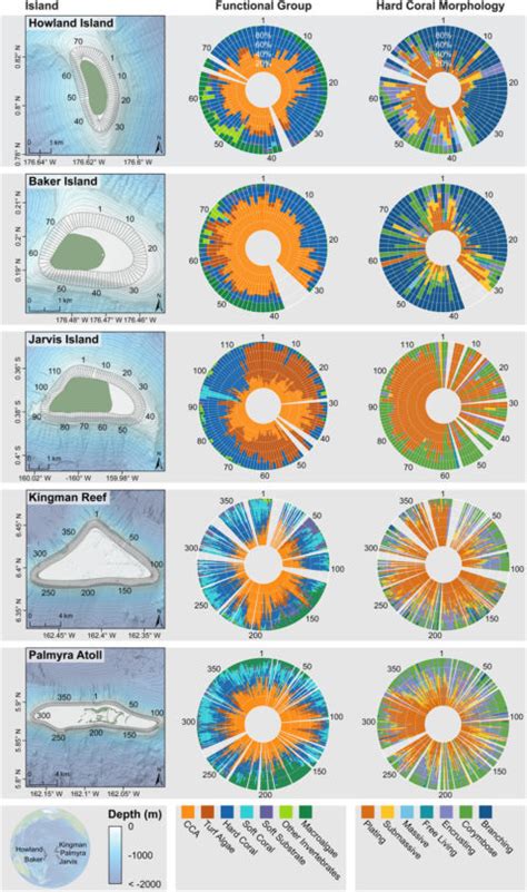 Spatial Scaling Properties Of Coral Reef Benthic Communities Andrew Davies