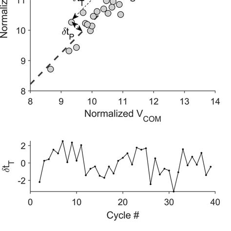 Representative Example Of Movement Variability For One Participant