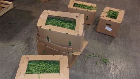 Fentanyl Hidden In Shipment Of Green Beans In Otay Mesa Cbp Nbc 7