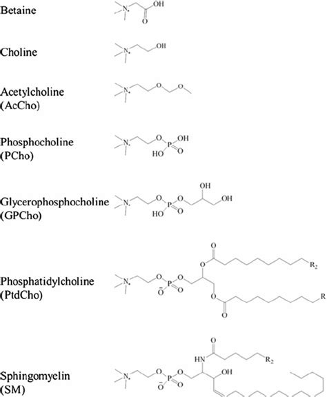 Choline Chemical Formula Brain Mind Article