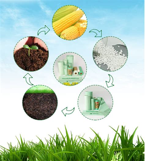 Factory Price Eco Friendly 100 Biodegradable Plastic Bags