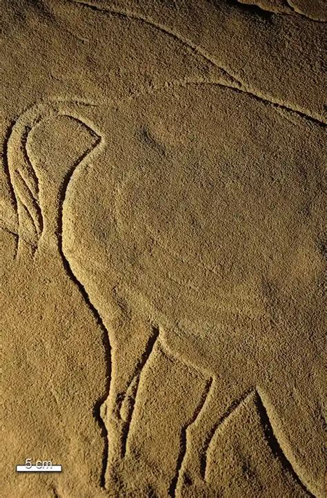 Inside Cussac Cave Over 150 Stunning Engravings From 25000 Years Ago